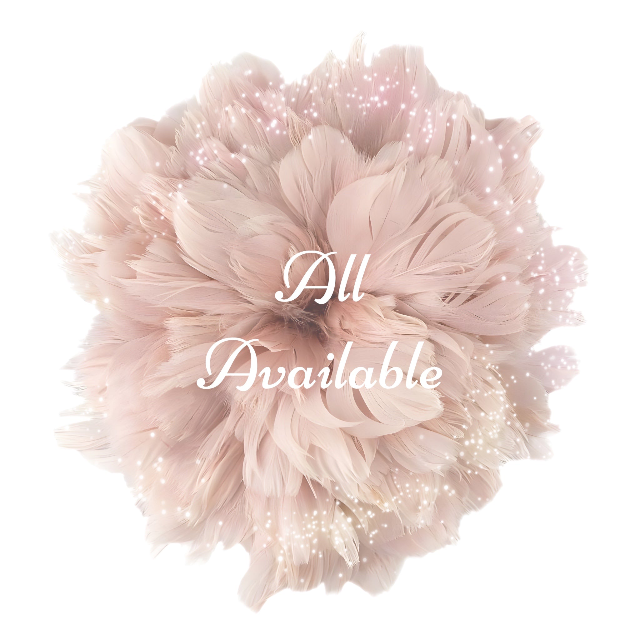 All Available – TLB Preloved Goods